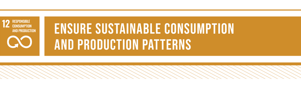 Zet je kantoor aan het werk voor Sustainable Development Goal 12 ...